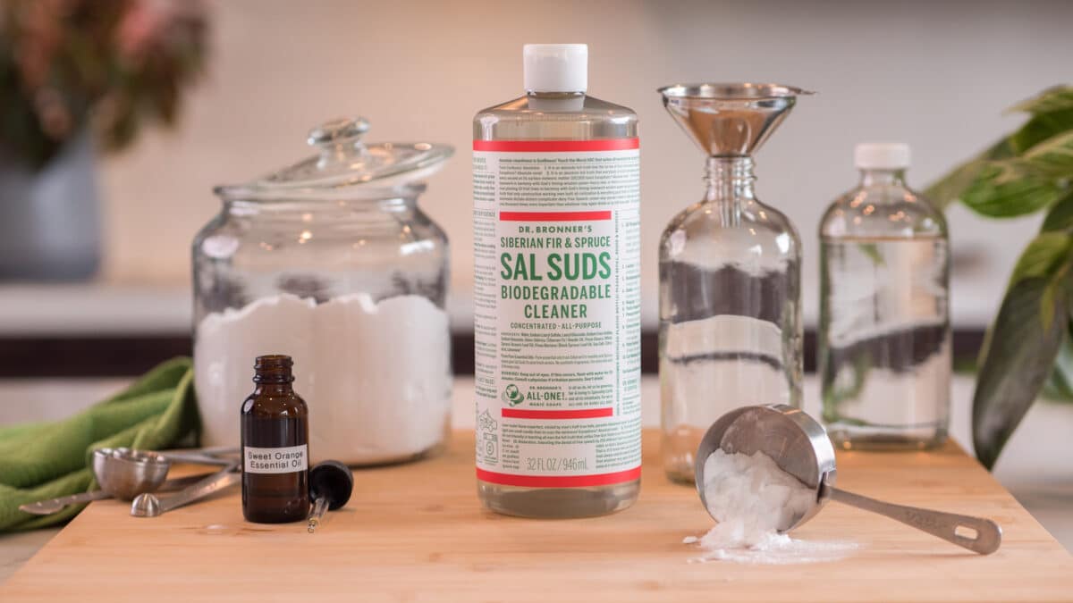 What Can You Mix with Dr. Bronner's Sal Suds? - Going Green with Lisa ...