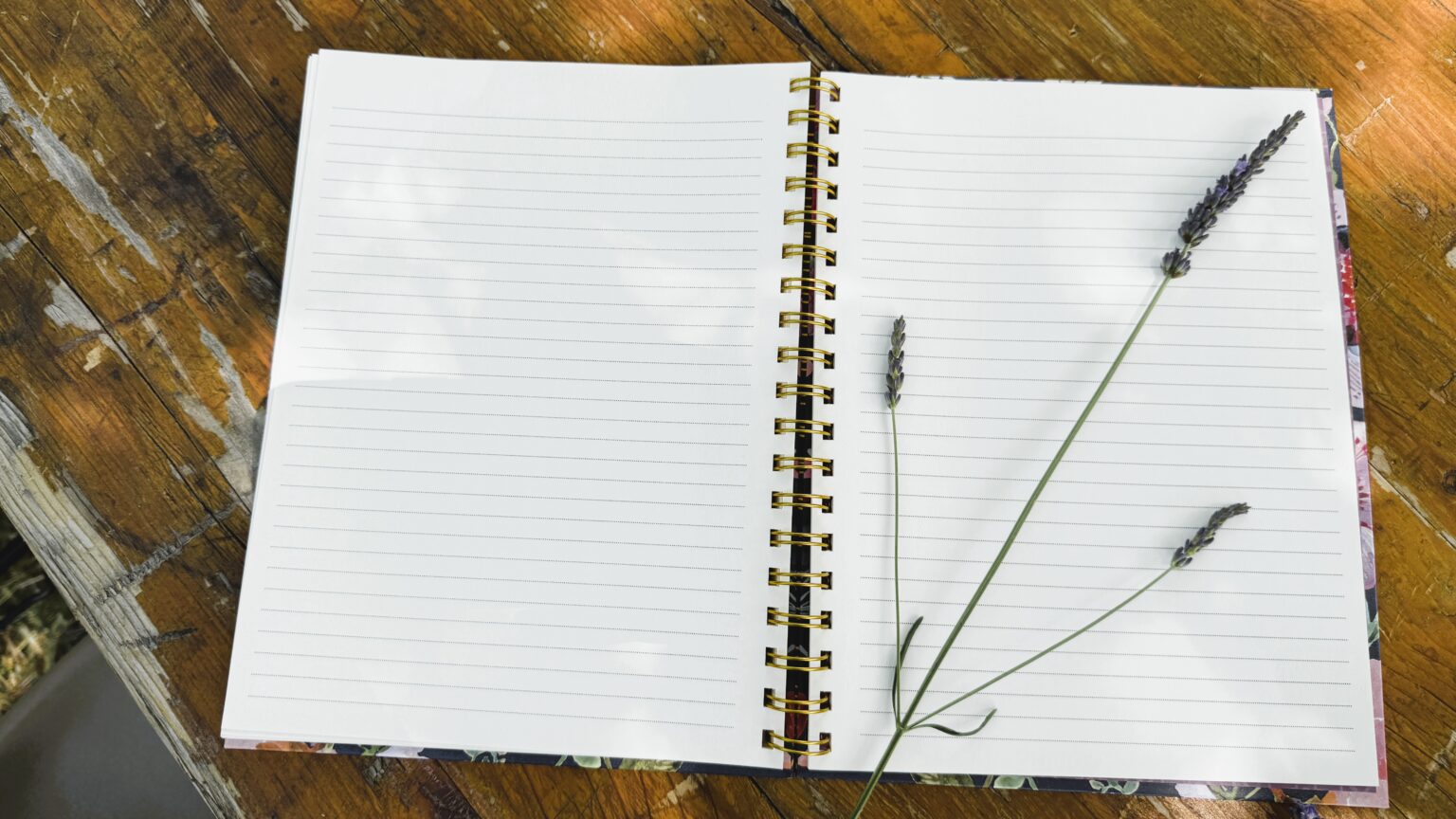 Two Days in Provence: Tracing Lavender from Plant to Essential Oil ...