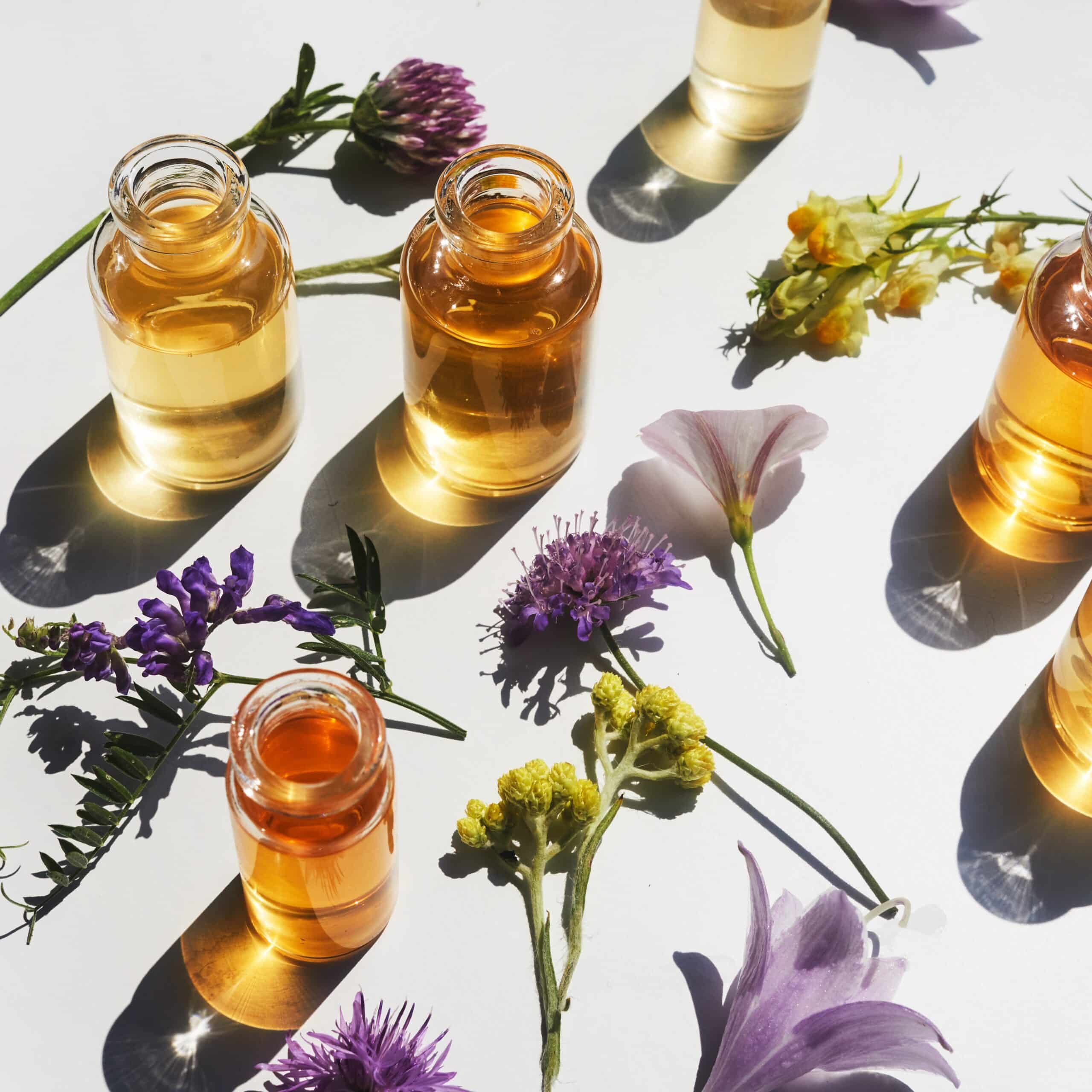 Your Complete Guide to Fragrance in Home & Body Care - Going Green with ...